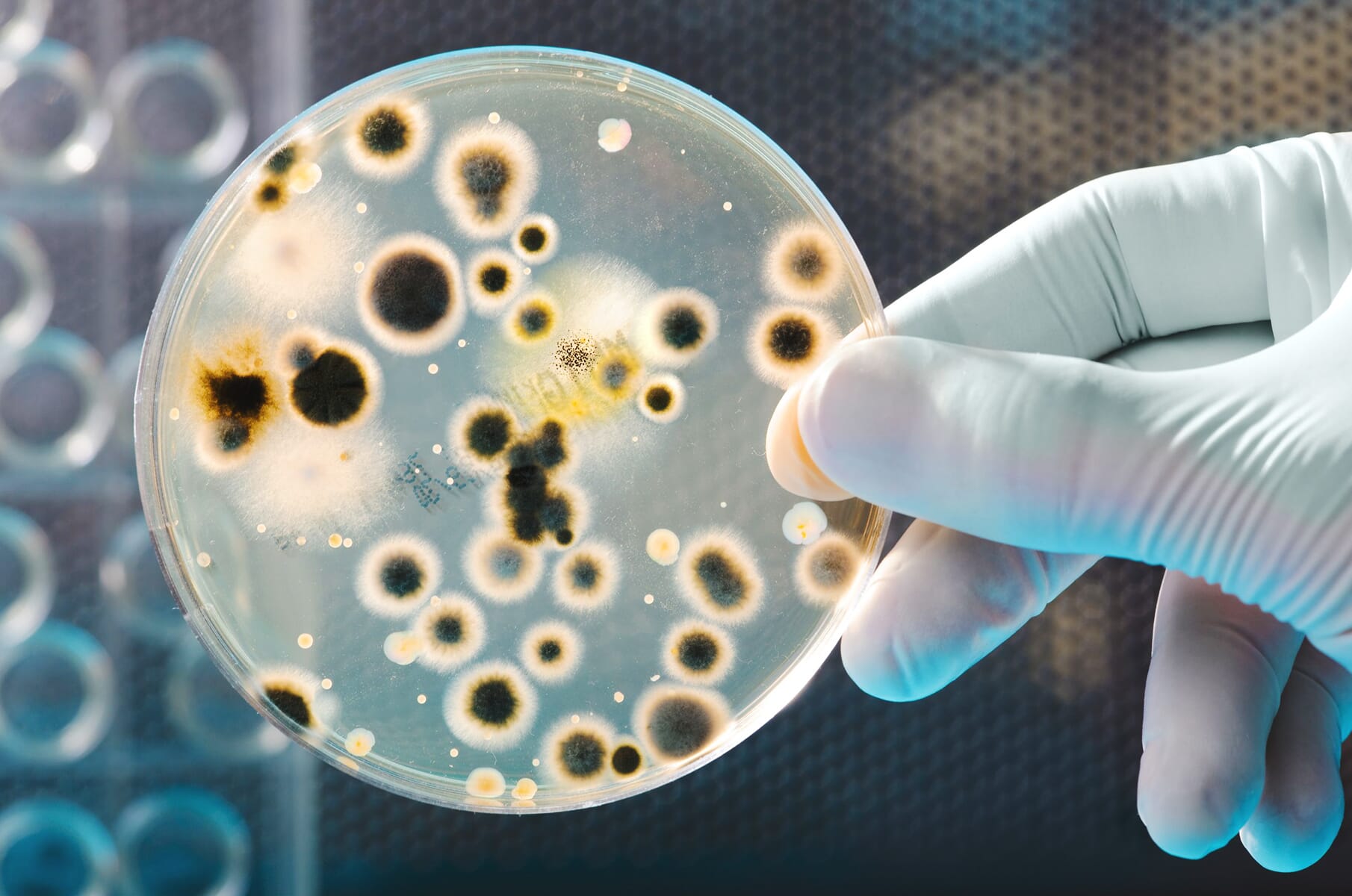 Bakterier og kjemikalier - bokashinorge.no